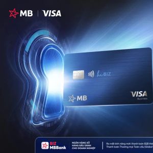 MB giới thiệu thẻ doanh nghiệp MB Visa Hi BIZ thông minh - Đầu Tư Từ Đâu