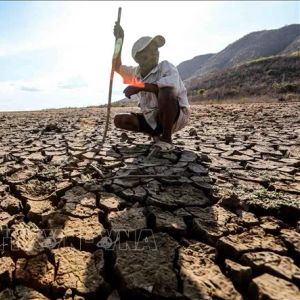 El Niño có thể kéo dài đến 2028 - Đầu Tư Từ Đâu